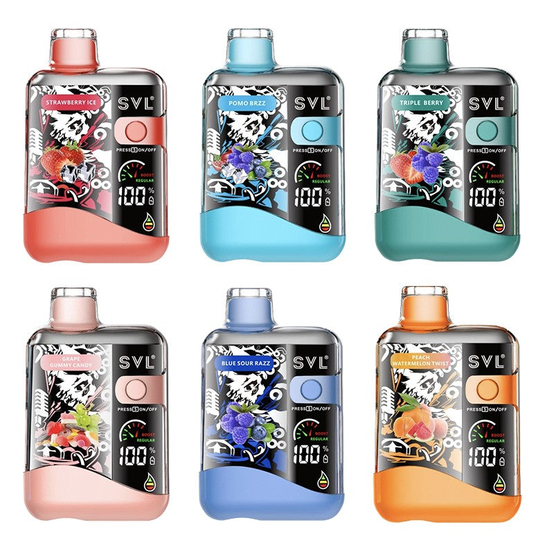 SVL BX12000 Disposable Vape Kit [5PC Rechargeable] – purevapejunction.com